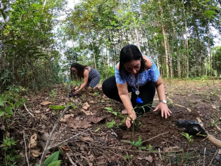 Pacote De Expedição Na Amazônia | Nattrip